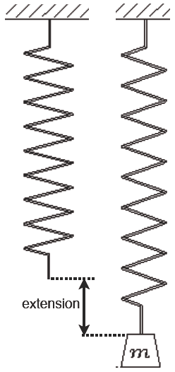 Simple Harmonic Motion (SHM) for a spring - The Fizzics Organization