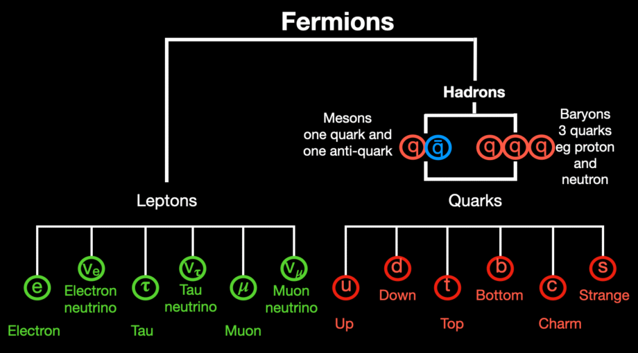 Fermions quarks and leptons -the building blocks of our universe - The ...