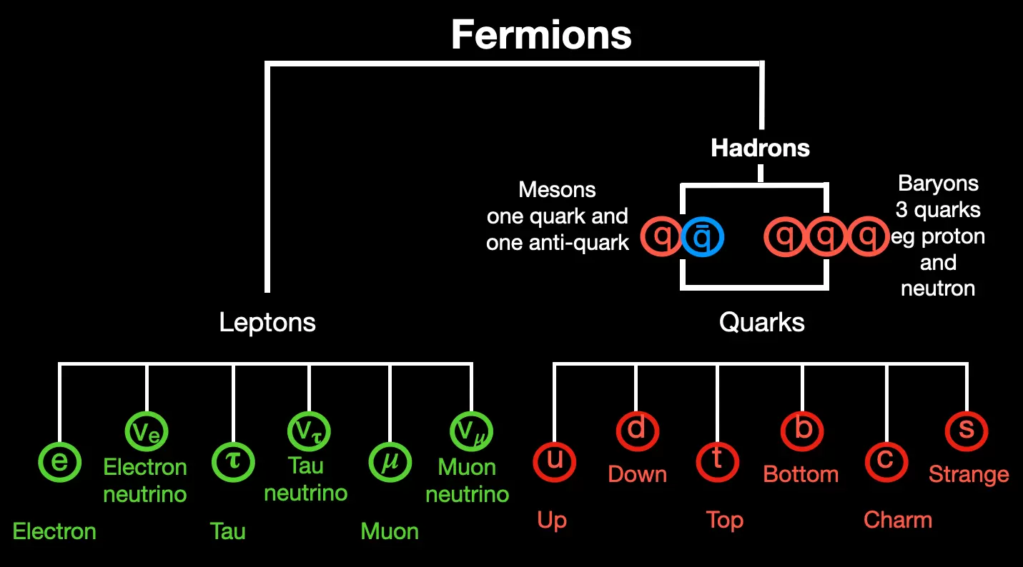 Fermions quarks and leptons -the building blocks of our universe - The ...